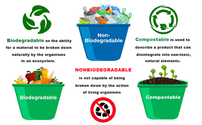 Non-biodegradable VS Biodegradable VS Compostable