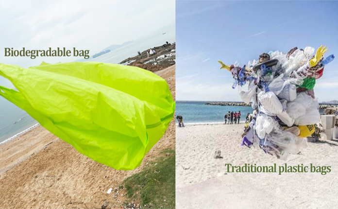 Manufacture The Difference Between Biodegradable Plastic Bags And ...